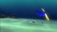 我在海底总动员截了一段小视频