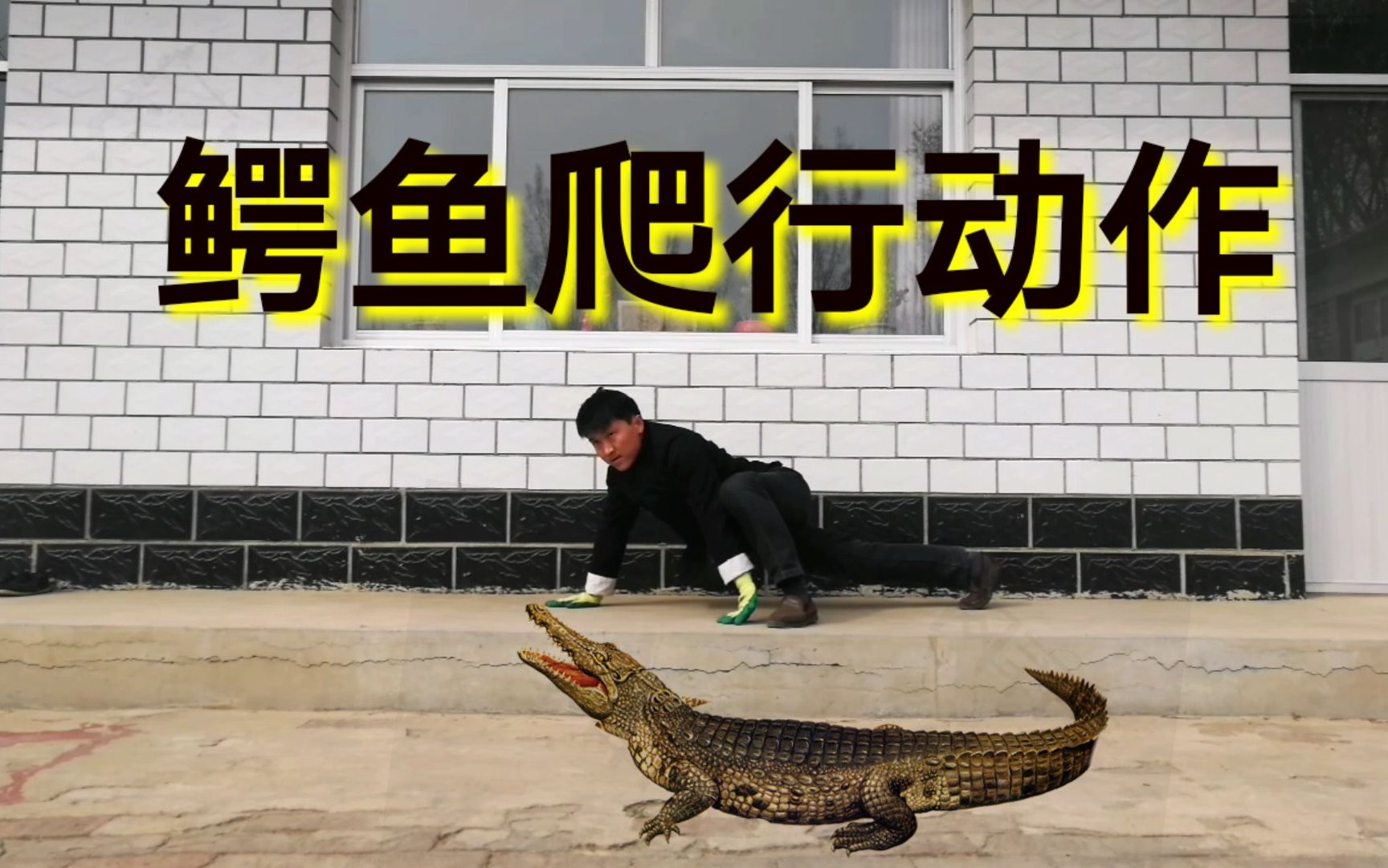 “鳄鱼爬行”养生,练腰练背还练腿,让你浑身轻松!其他妙用,自行开发!