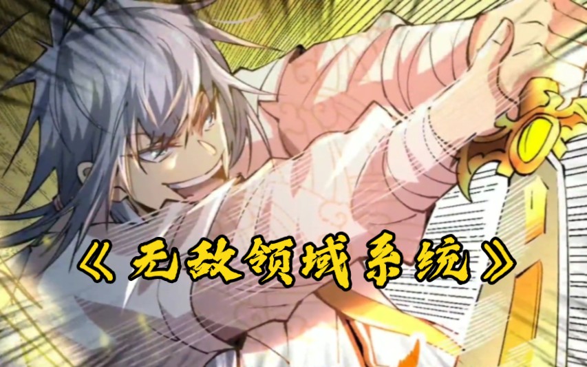 《无敌领域系统》