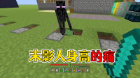 我的世界:正确面对敌对生物的方式,两格高度小黑是过不来的!