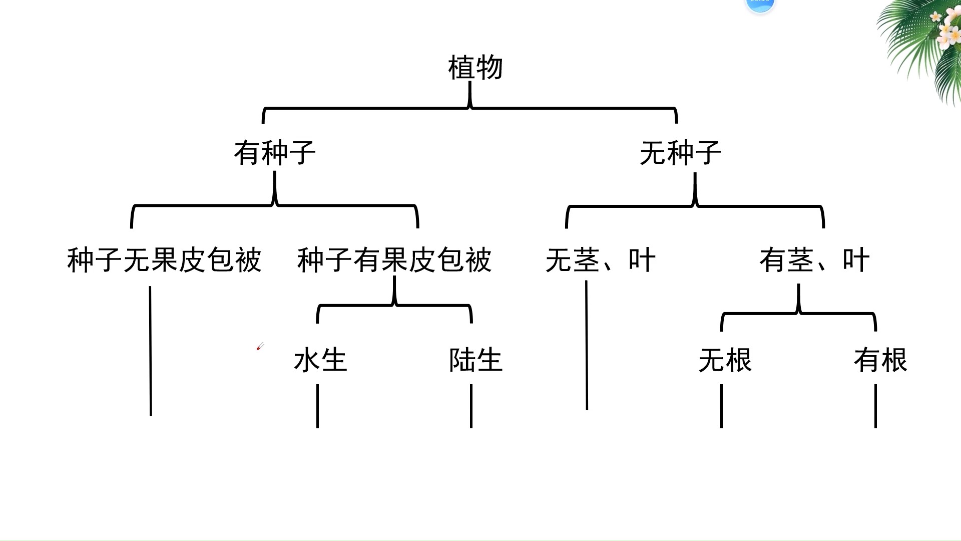 新教材浙教版初中科学七上:2.4生物的分类(教学视频)