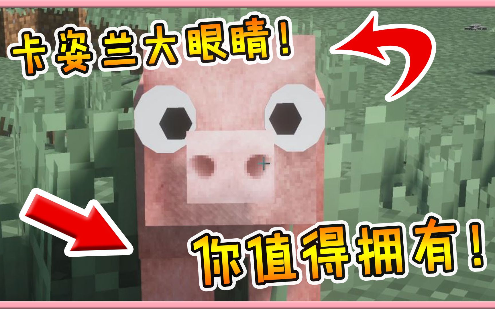 我的世界Mod:提高MC里动物的颜值!让它们变可爱的大眼萌宠!