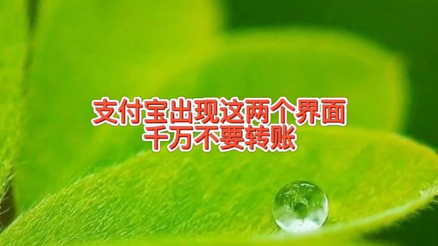 支付宝出现这两个界面提示一定不要转账,微信和银行都有类似功能