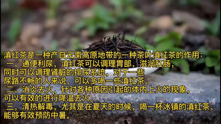 滇红茶是一种产自云南高原地带的一种茶叶