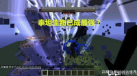 幻雨辰我的世界叶枫泰坦生物整合包生存 老白CH明明籽岷扁桃大橙子