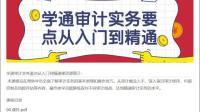 学通审计实务要点从入门到精通课