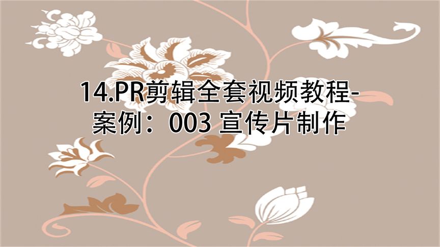14.PR剪辑全套视频教程-案例:003 宣传片制作