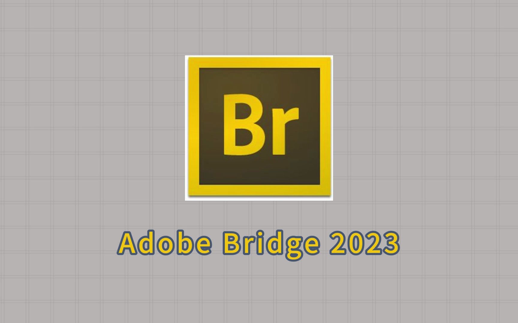 Adobe Bridge 2023最新免费下载,装好即永久!