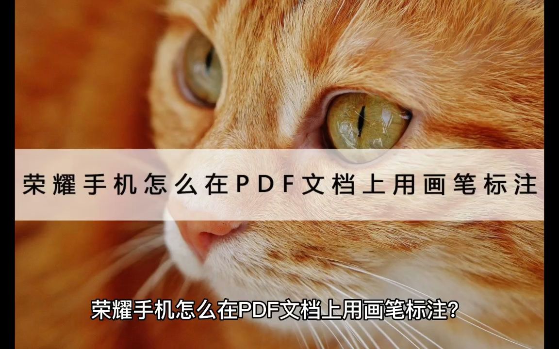 荣耀手机怎么在PDF文档上用画笔标注?试试它