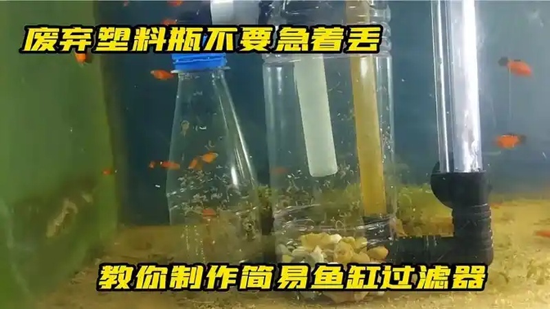 养鱼的看看,废弃塑料瓶不要急着丢,教你制作简易鱼缸过滤器!