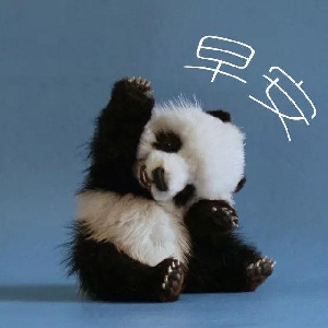 旭龙大大 