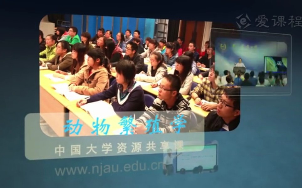 动物繁殖学—南京农业大学