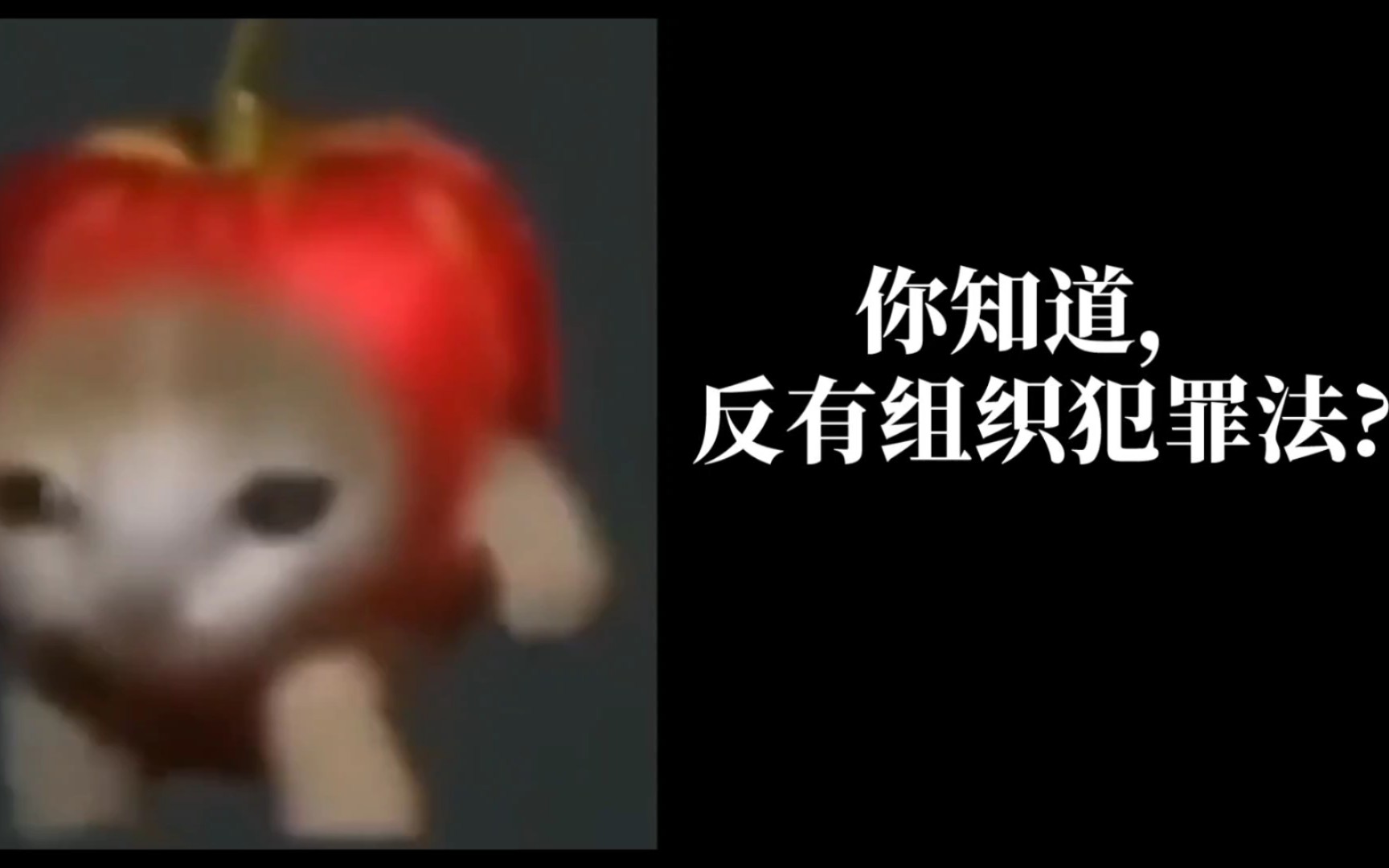 你知道,反有组织犯罪法吗?