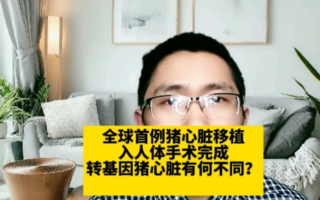 美国完成全球首例猪心脏移植手术该心脏有多处基因编辑