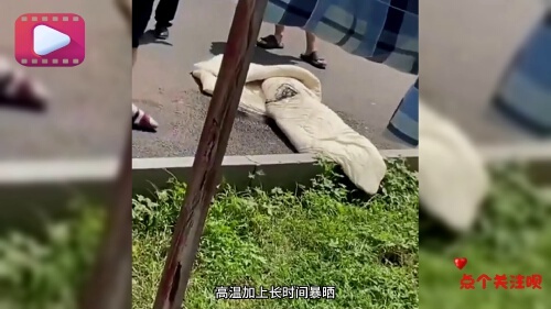 夏天在太阳下晒被子没想到被子着火了新闻周周