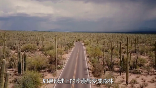 如果地球上的沙漠都变成森林,会产生什么后果?听听科学家怎么说