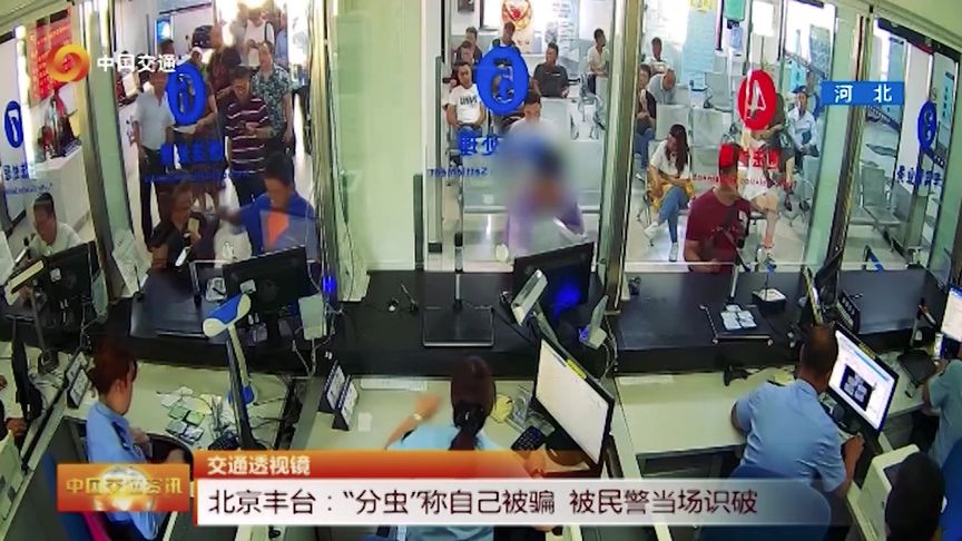 女子到车管所办业务,工作人员却发现不对劲,原来女子身份不一般