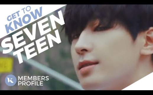 【SEVENTEEN】成员资料介绍 (身高体重,出生日期,队内担当等等)