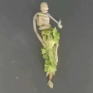 云南小泽