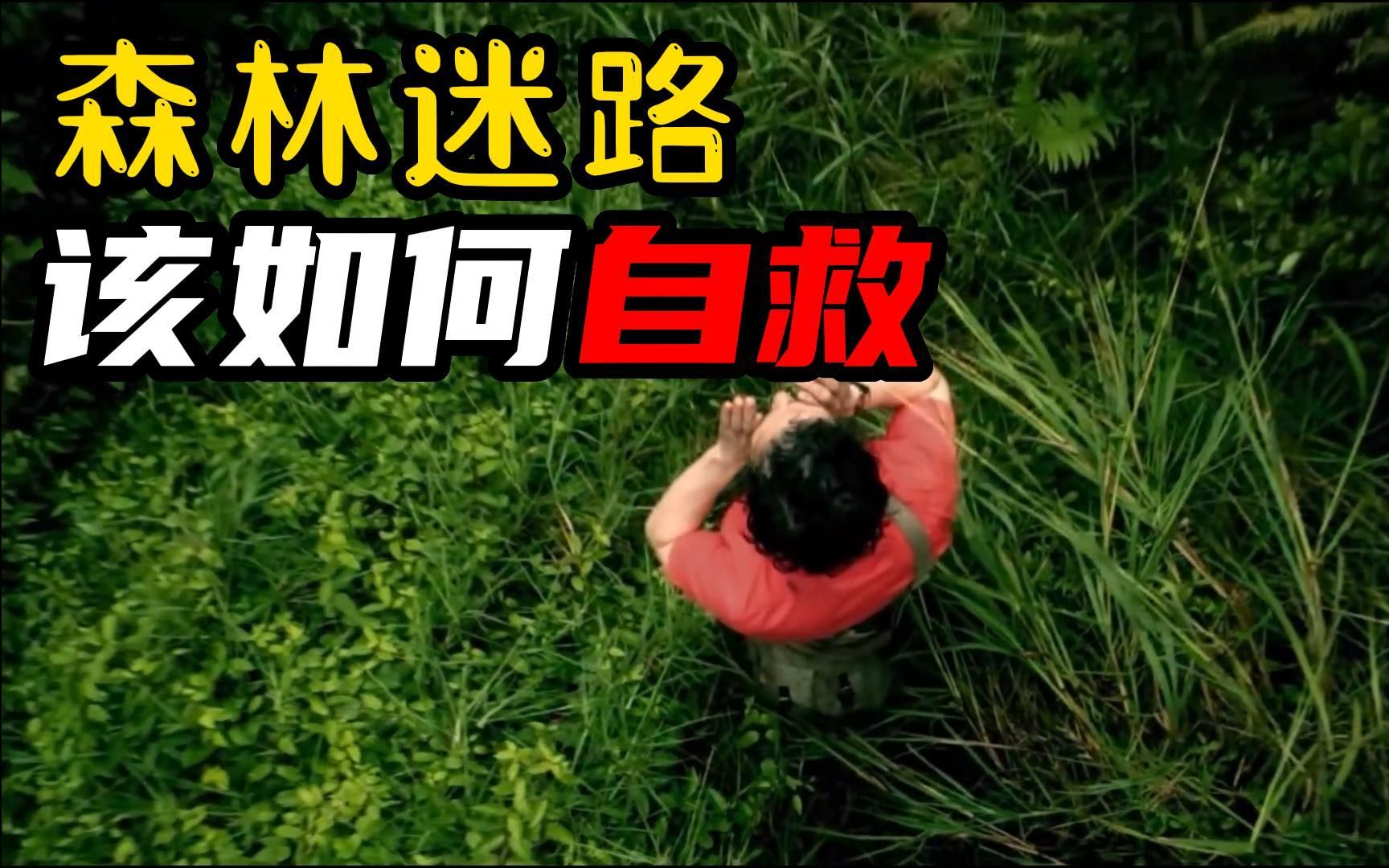 假如你在森林里迷路,该如何正确求生?
