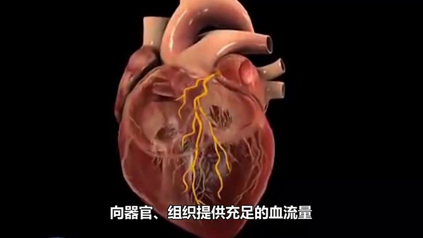 科技纪录片:3D打印的人工心脏,能跳动3000次