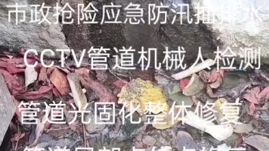 咸阳君贤通下水/疏通下水管道/下水道疏通/本地市政管道疏通清淤/清理...