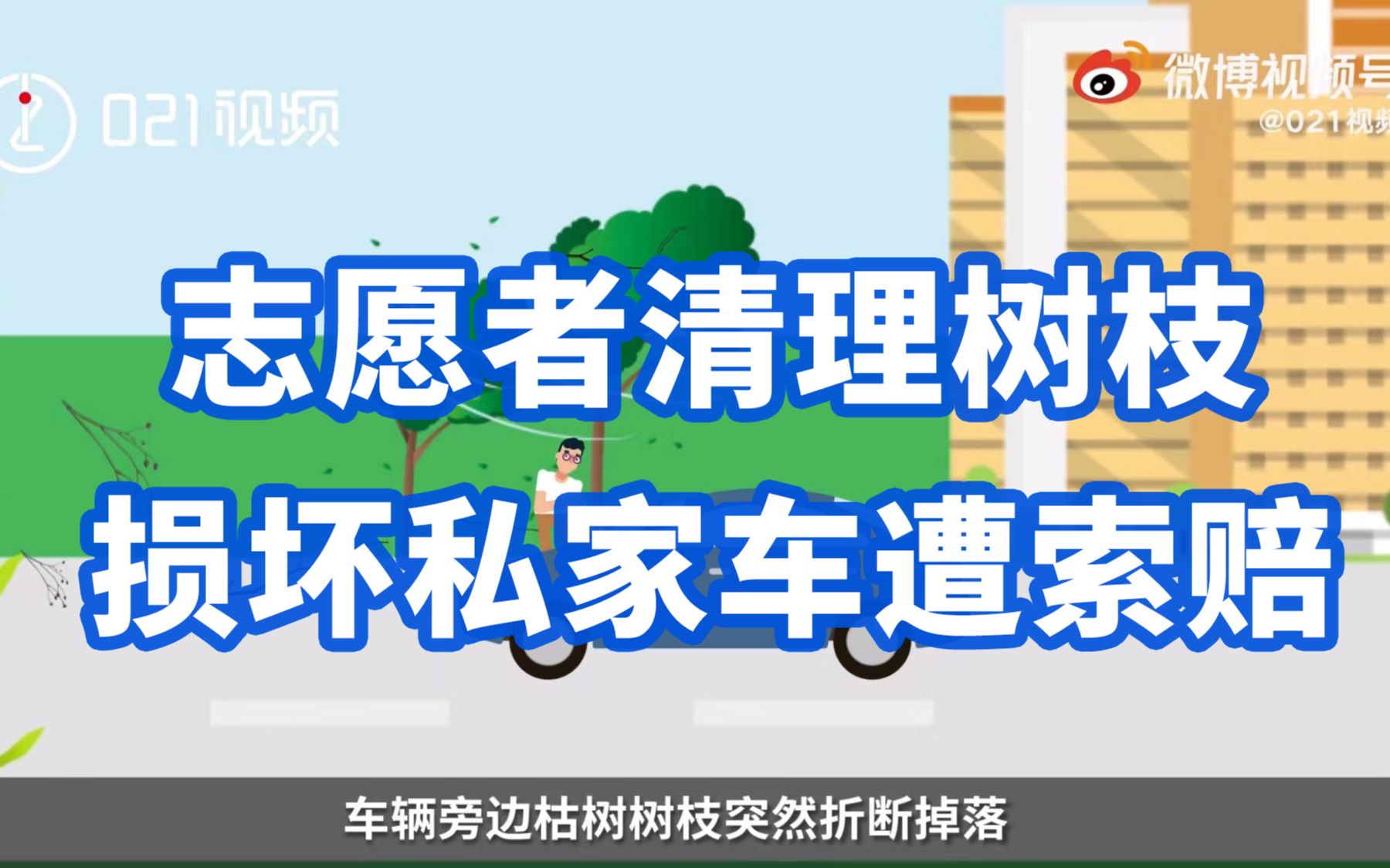志愿者清理树枝损坏私家车遭索赔,街道调解:物业赔偿损失,志愿者无责任