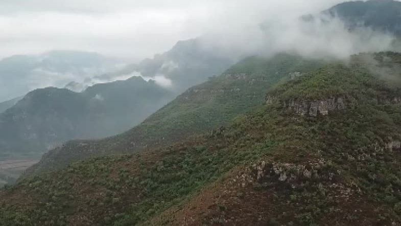 荒山变林场,科学造林创生态奇迹,看看王屋山下的“塞罕坝”