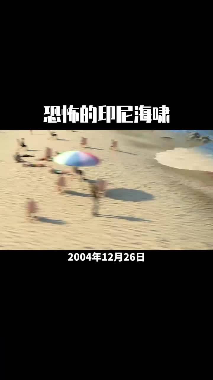 当年的印尼海啸有多可怕?