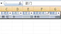 Excel 2007视频教程30-数据透视图