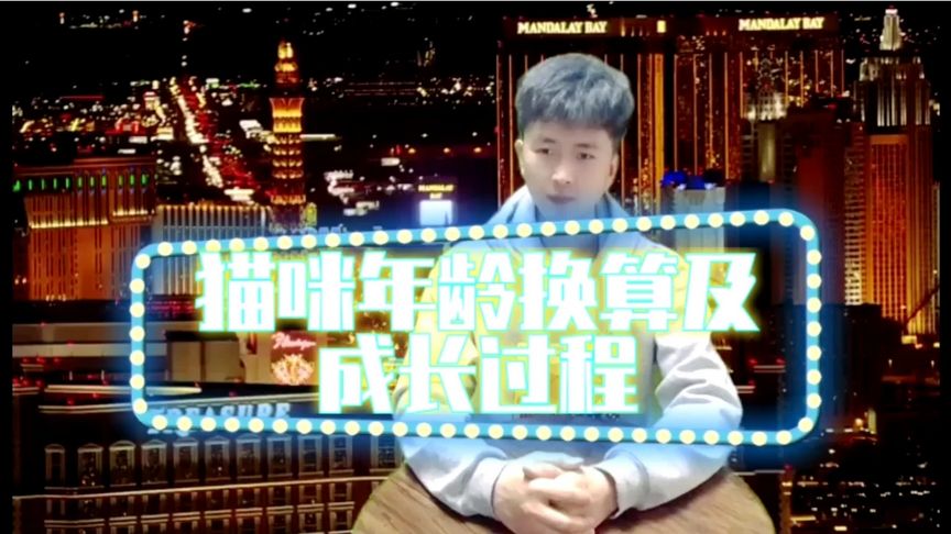 猫咪年龄换算及成长过程