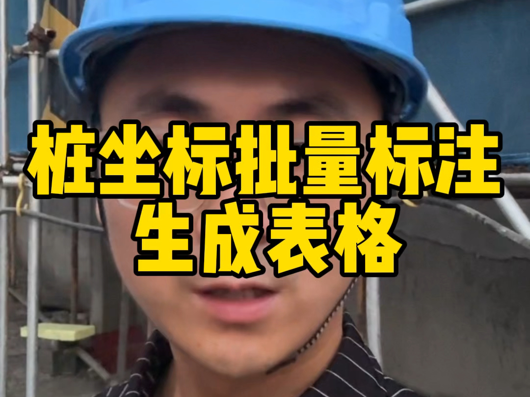 桩基坐标批量标注,并生成表格