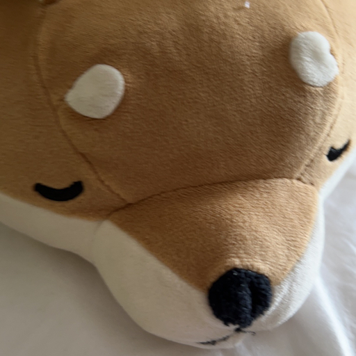 小政很正 