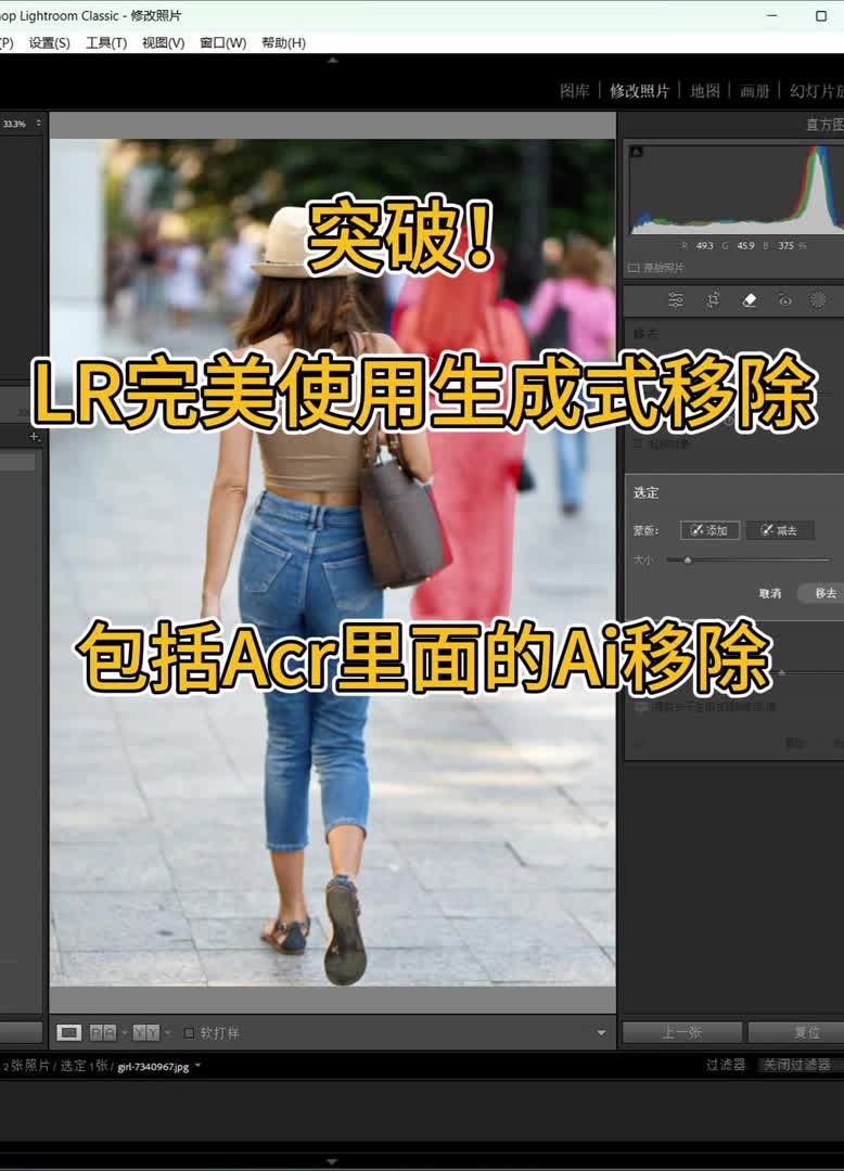 解决Lr AI 生成式移除问题
