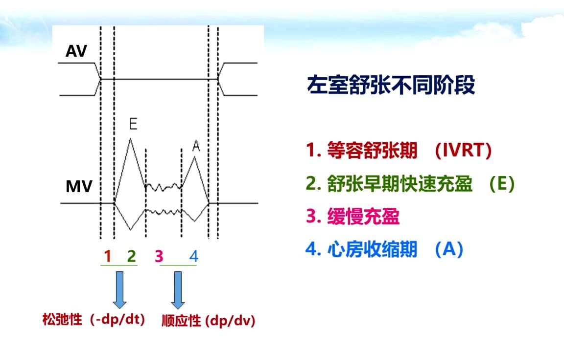 心脏功能超声评价(一)