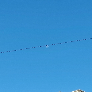 写代码的交易员 