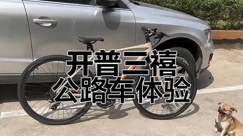 捷安特开普三禧公路车,舒适坐垫与双碟刹设计