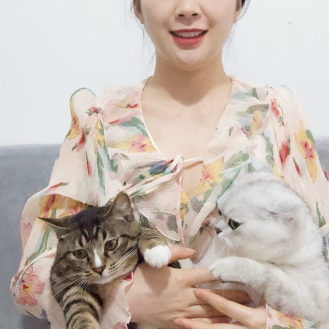 生物羊与两只猫 