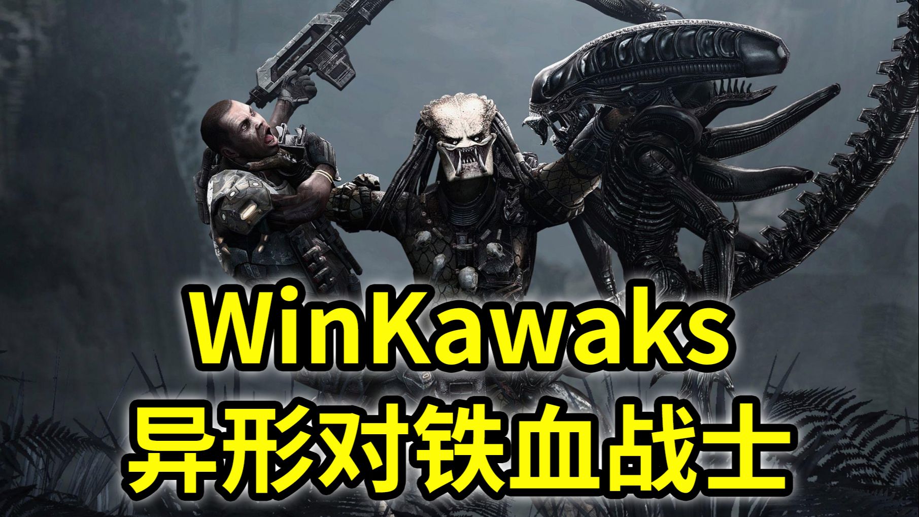 WinKawaks【异形对铁血战士】rom(单独游戏文件不含模拟器)