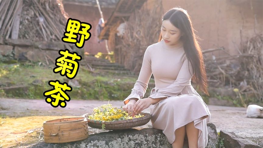 很多人都不知道野菊花有什么用,阳小月把它们采集起来做花茶