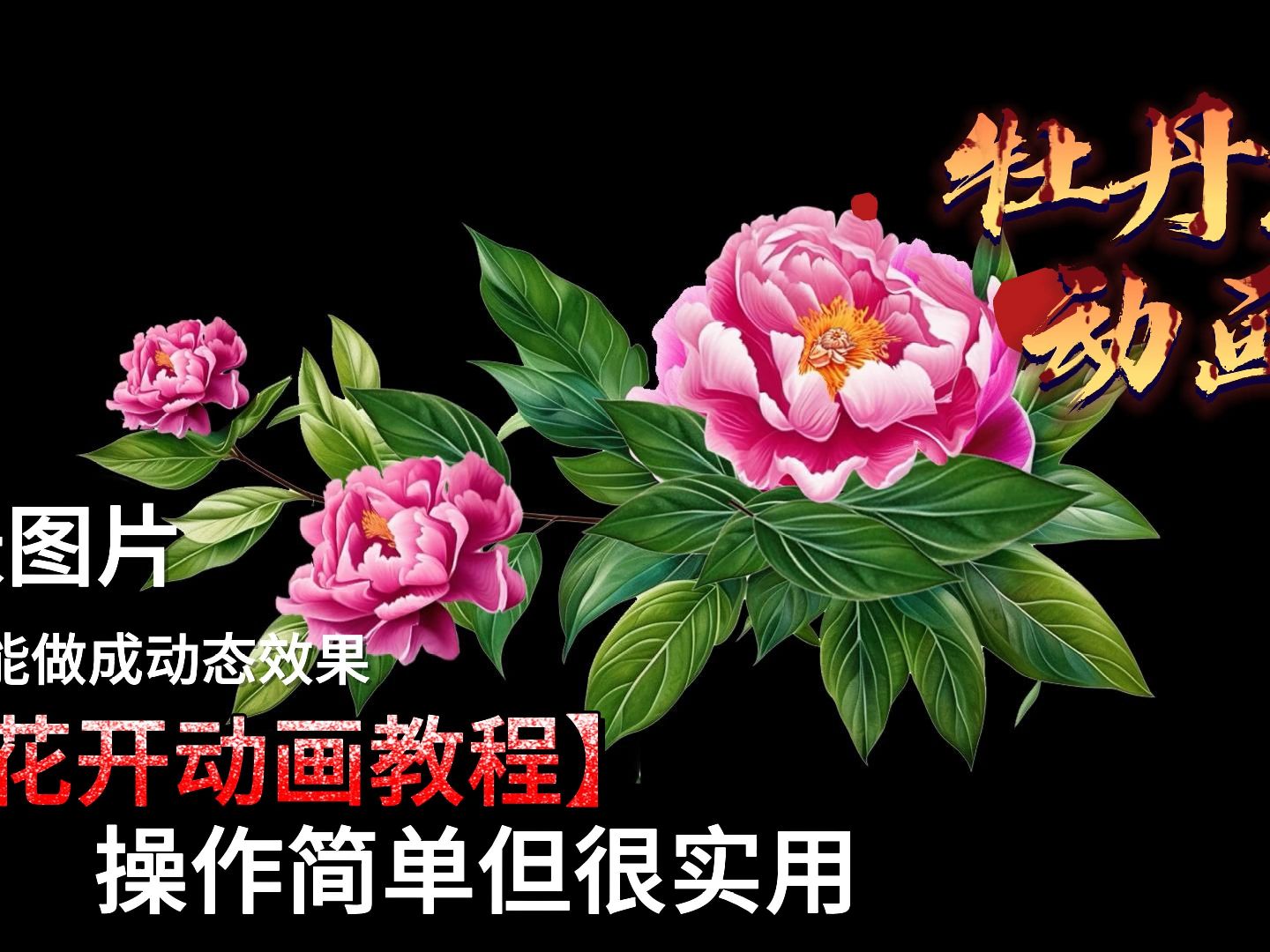 ...软件制作出开花动画效果,动画制作鲛鱼数画教程,图片花素材开花效果