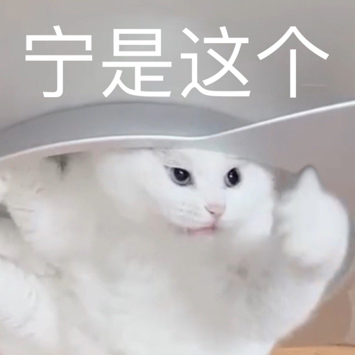 你相信神吗姐妹 