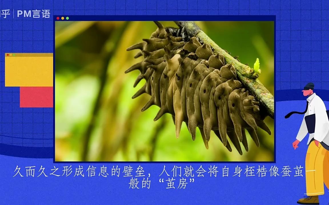 推荐系统如何弱化“信息茧房”效应