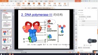 PPT视频录制
