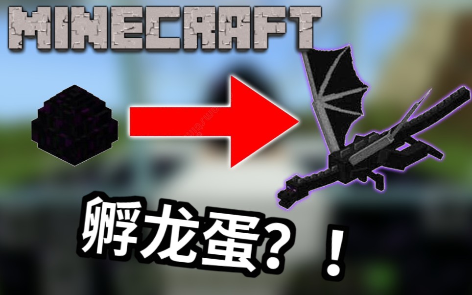 教你如何在我的世界里面制作一台孵龙蛋机,这种孵龙方式绝了!