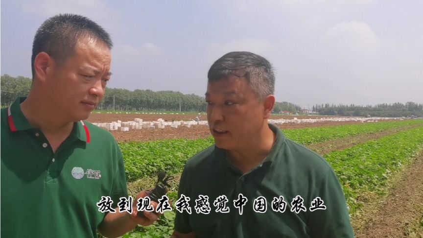 农业的节约化、规模化、标准化、品牌化是农业种植的趋势。