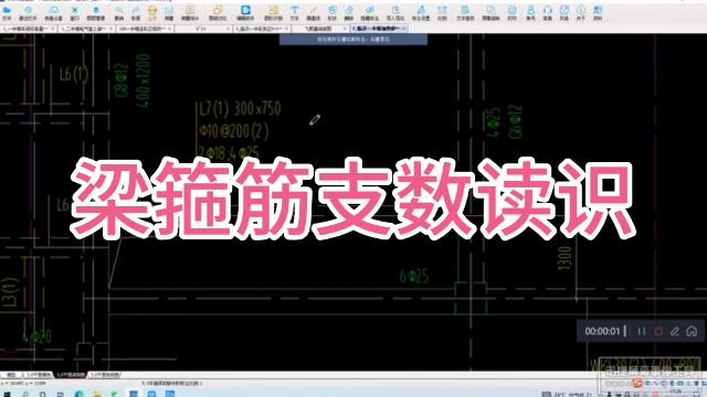 梁箍筋支数读识#今天你学习了吗?