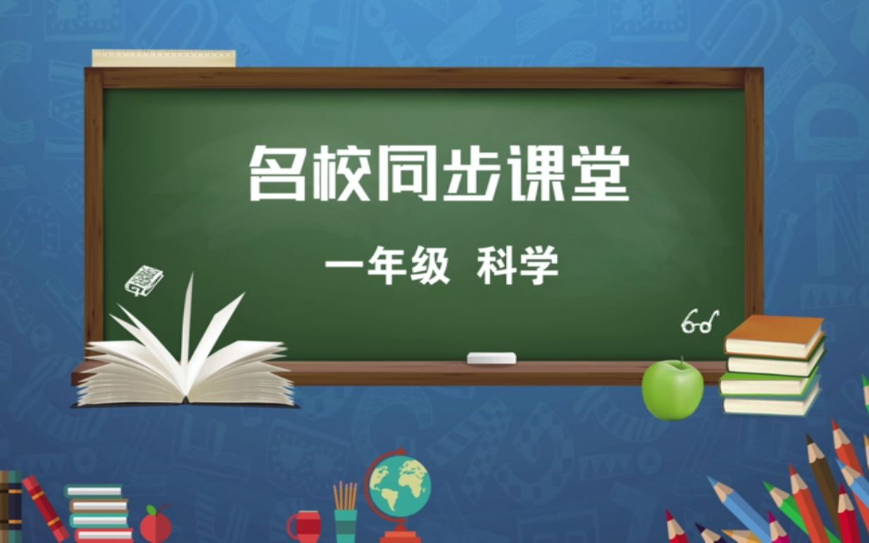 一年级-科学 - 河南停学不停课 公共课堂