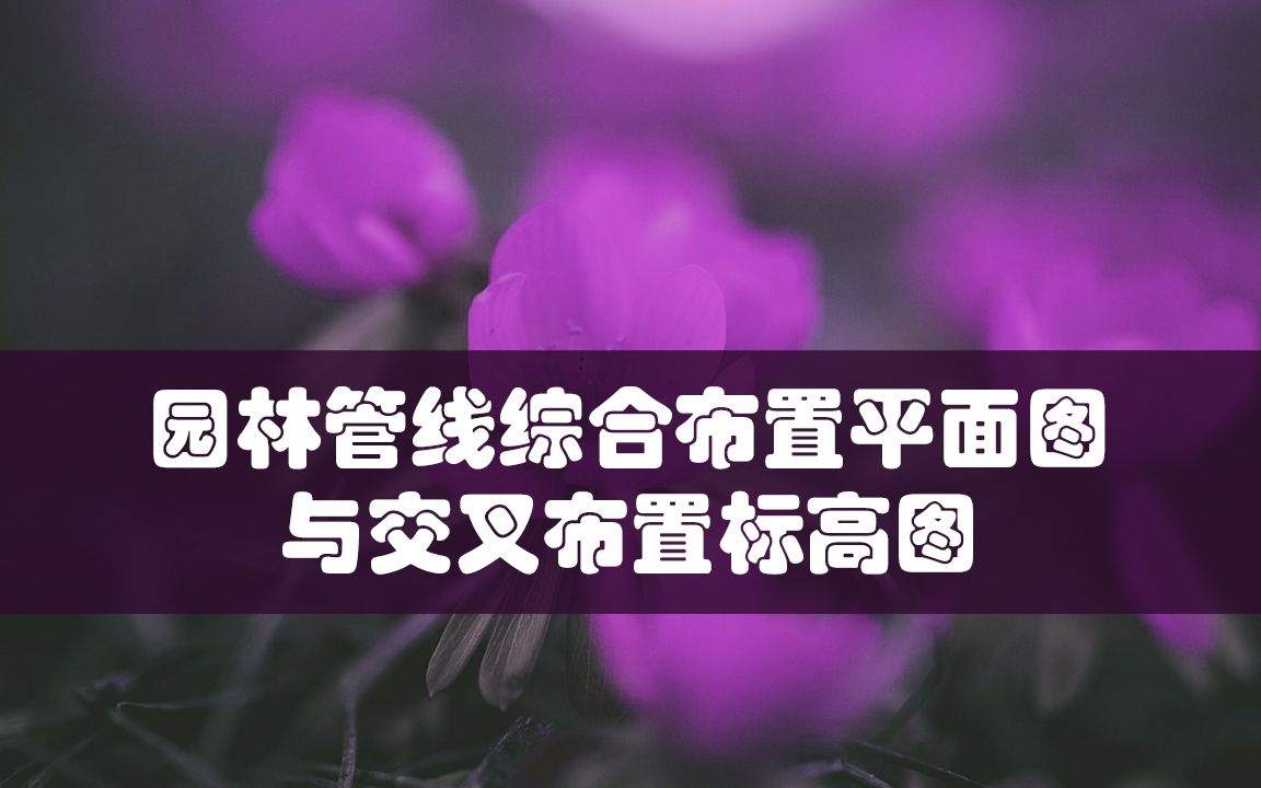 园林管线综合布置平面图与交叉布置标高图