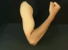 董氏 奇穴 针灸:大臂部称“四四部位” 人 地宗